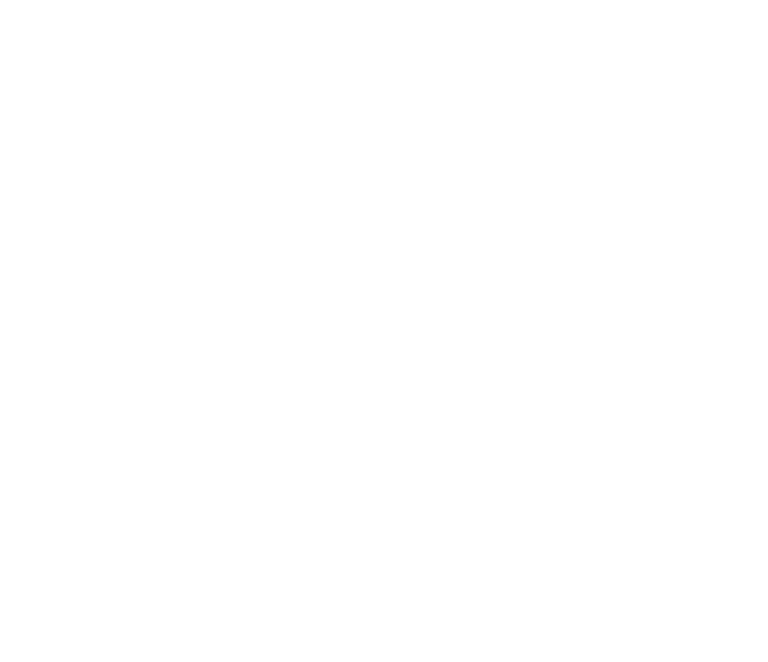 Ryse - Elevate Capital